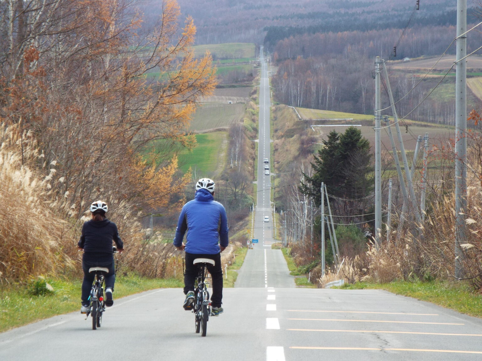 Nozo Hotel - Accommodation in Furano, Hokkaido