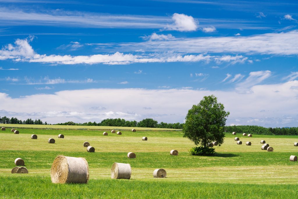 Nozo Hotel - Accommodation in Furano, Hokkaido