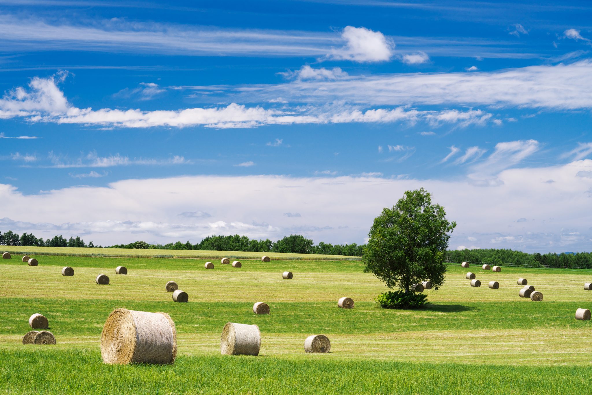 Nozo Hotel - Accommodation in Furano, Hokkaido