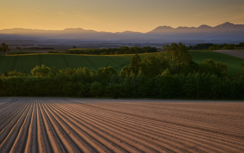 Nozo Hotel - Accommodation in Furano, Hokkaido