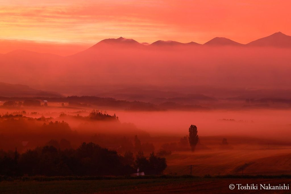 Nozo Hotel - Accommodation in Furano, Hokkaido