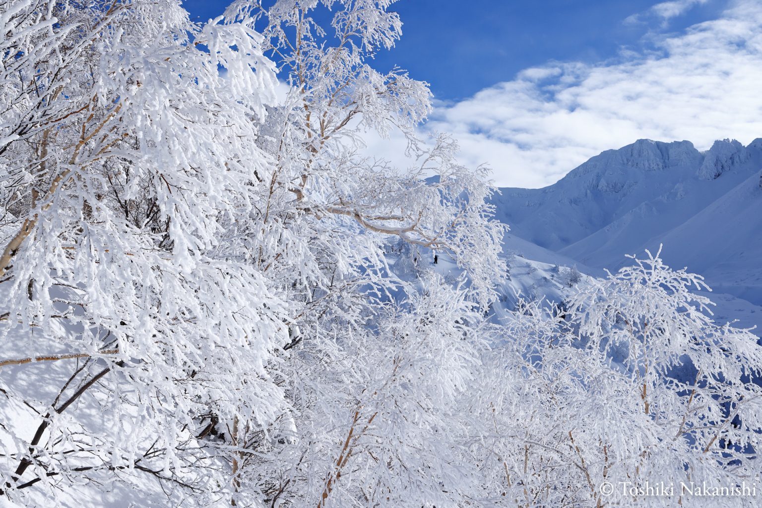 Nozo Hotel - Accommodation in Furano, Hokkaido