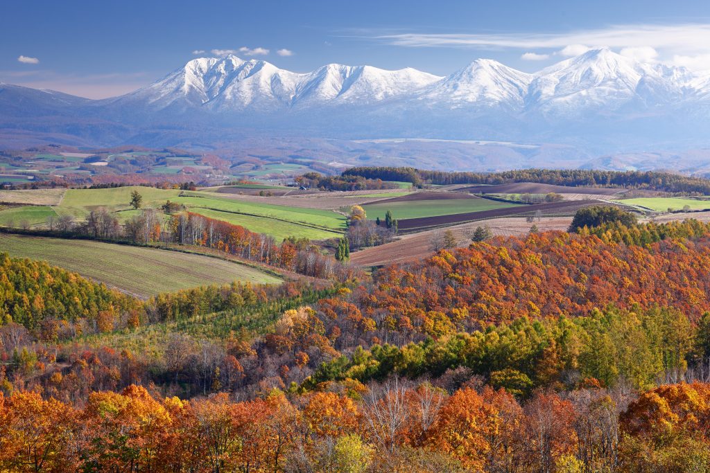 Nozo Hotel - Accommodation in Furano, Hokkaido